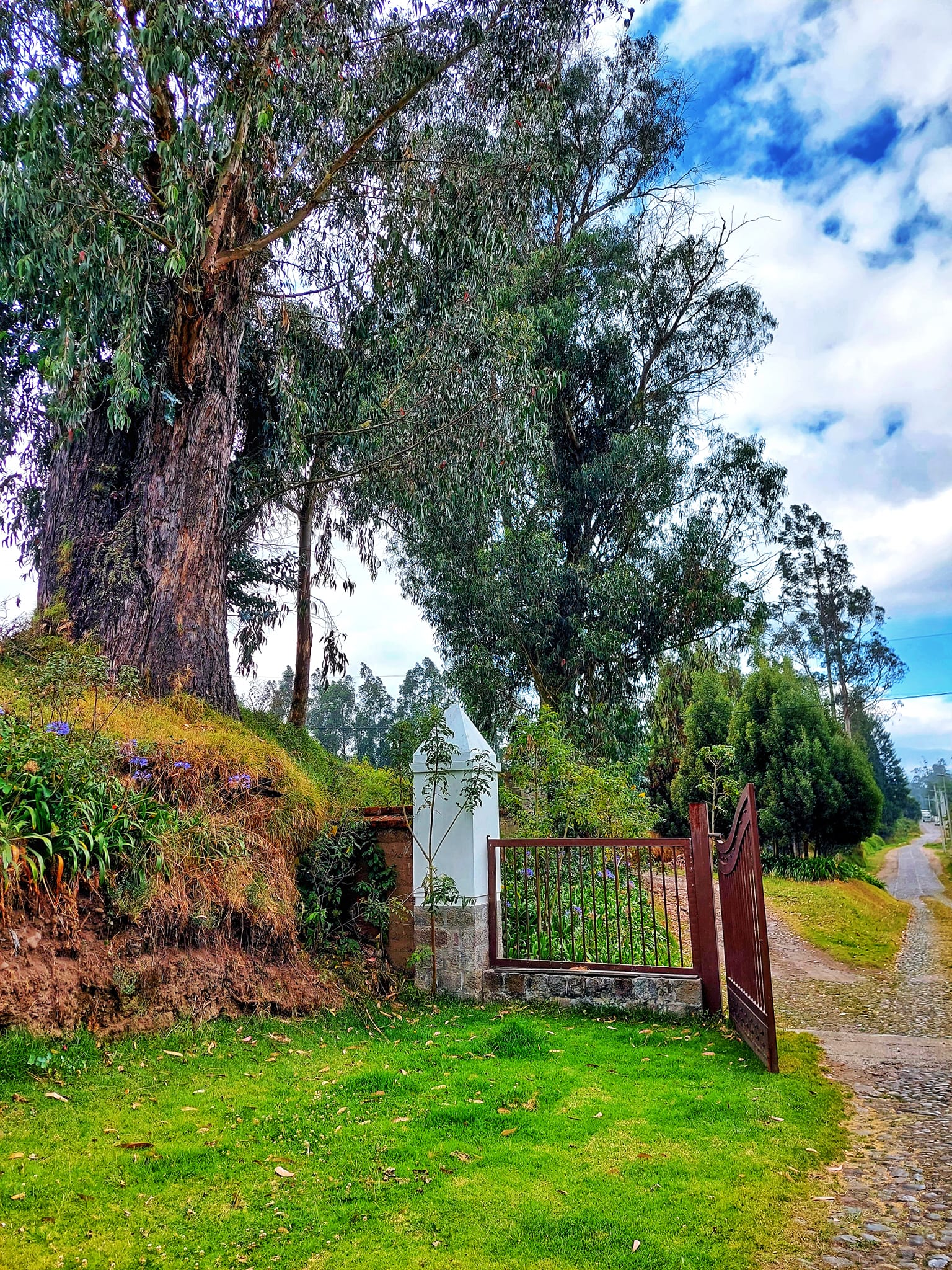 Hacienda La Compania – Haciendas In Ecuador